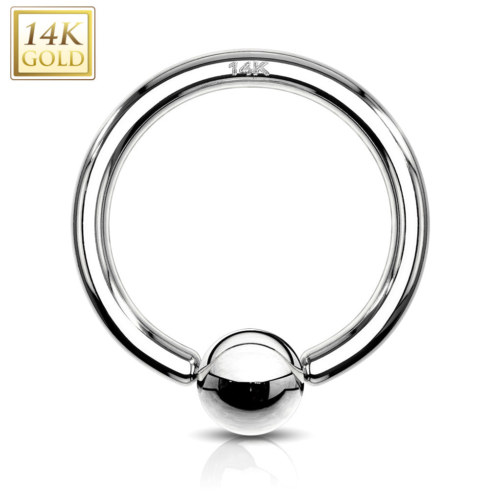 14K Solid Gold Hoop Captive Bead Rings – iconbodyjewelry.com