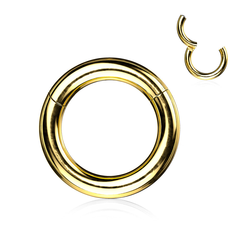 Titanium Large Gauge Hinged Segment Ring For Septum Lip Nose Daith ...