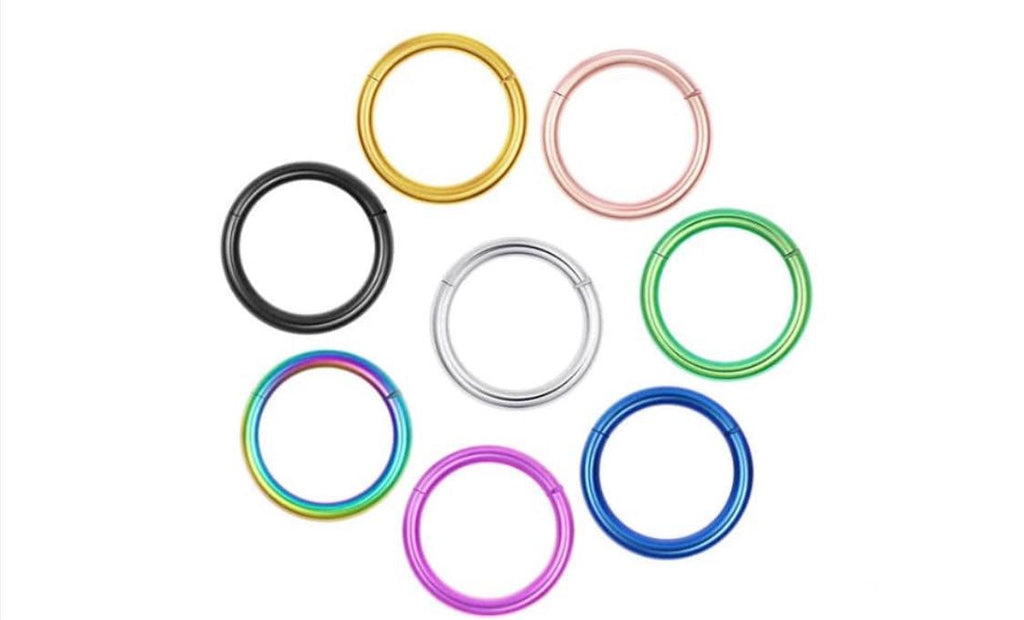14G Titanium Plated On Surgical Steel Hinged Segment Hoop Rings ...